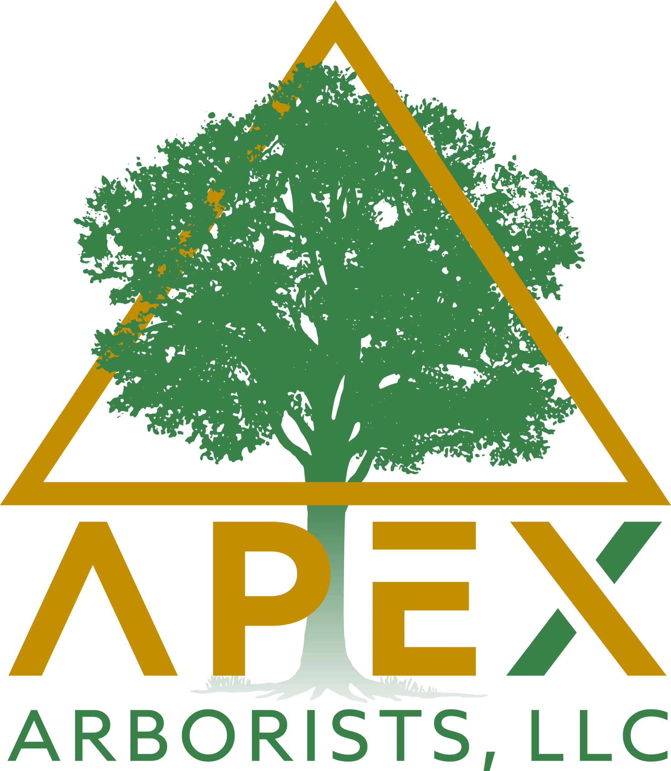 Certified Tree Service Experts | Apex Arborists LLC